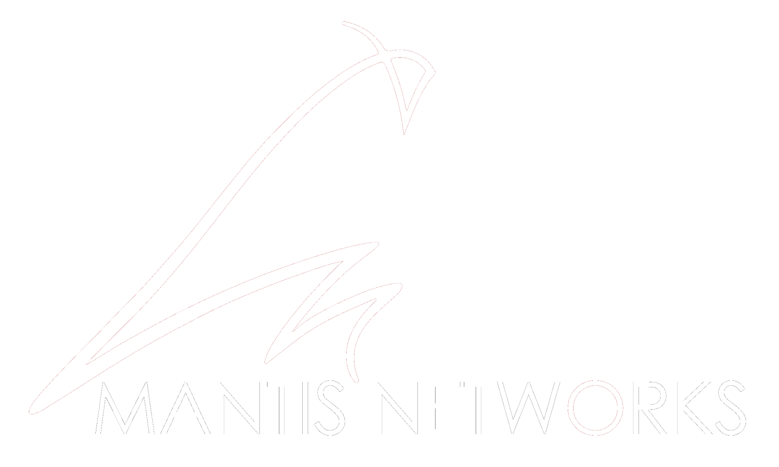 Understanding B-BBEE – Mantis Networks